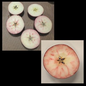 Apples- Red Flesh | International Produce Training