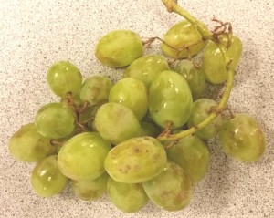 Table Grapes- Discolored Spots | International Produce Training