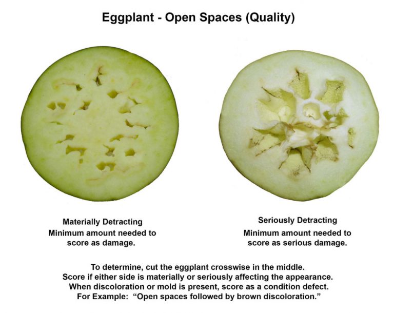 Eggplant- Open Spaces | International Produce Training